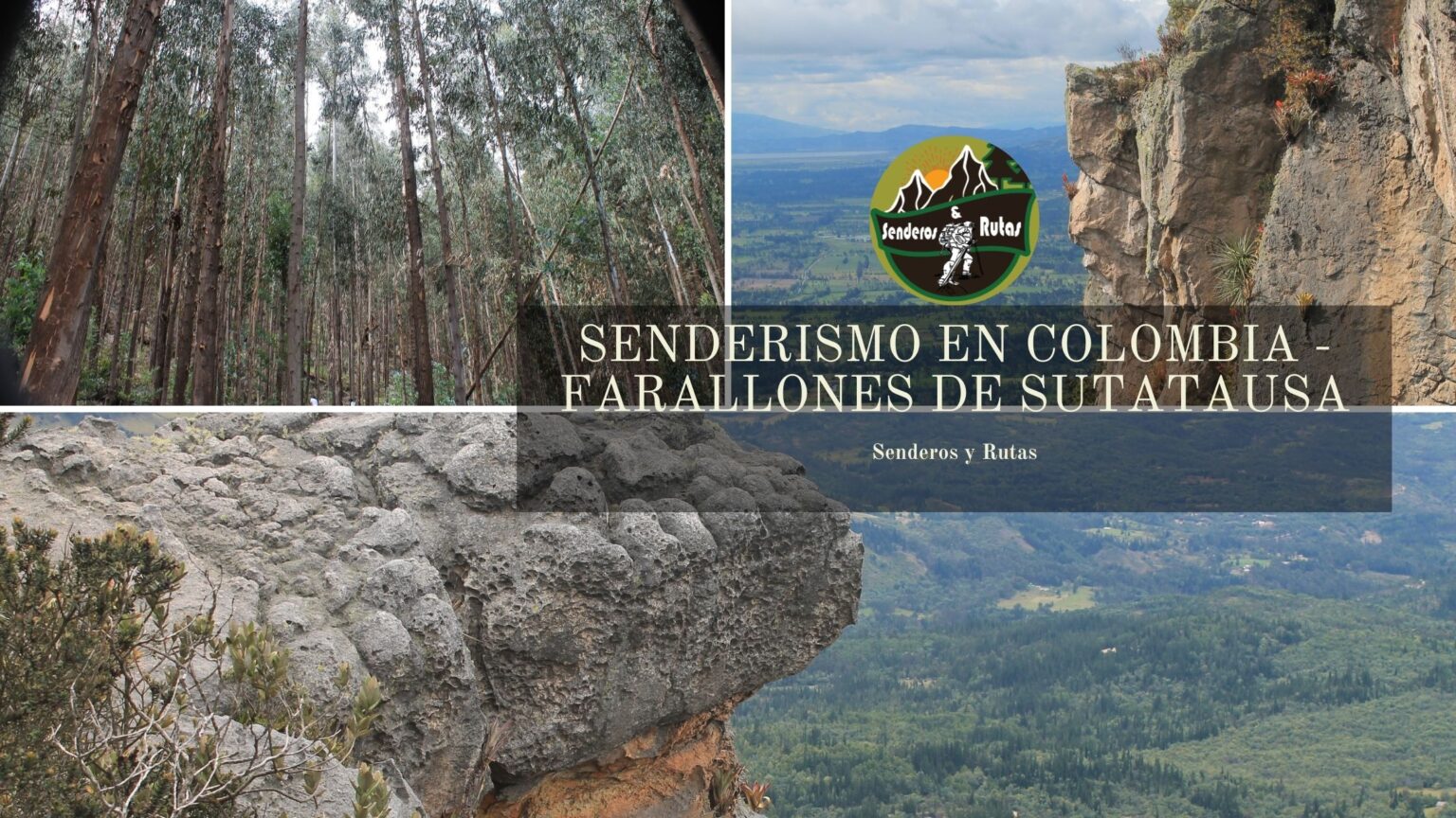 ¿Qué es un Sendero? Definición y Tipos de Senderos