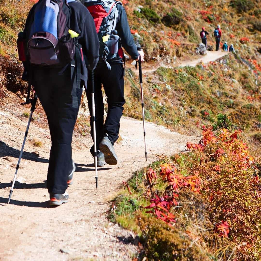 Guía: Cómo entrenar para hacer senderismo | Senderos y Rutas