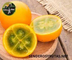 30 Frutas de Colombia Que Debes Probar En Tu Viaje